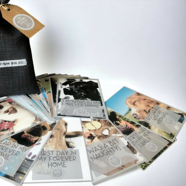 New Dog Milestone Cards – In Your Dog House Gifts